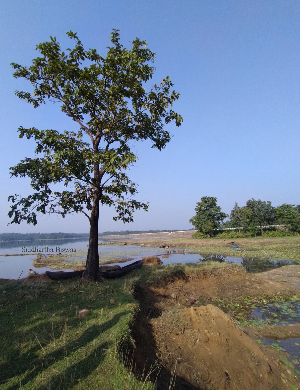 Rissia Nature Camp – Kuldiha Forest – Peregrine's Progress