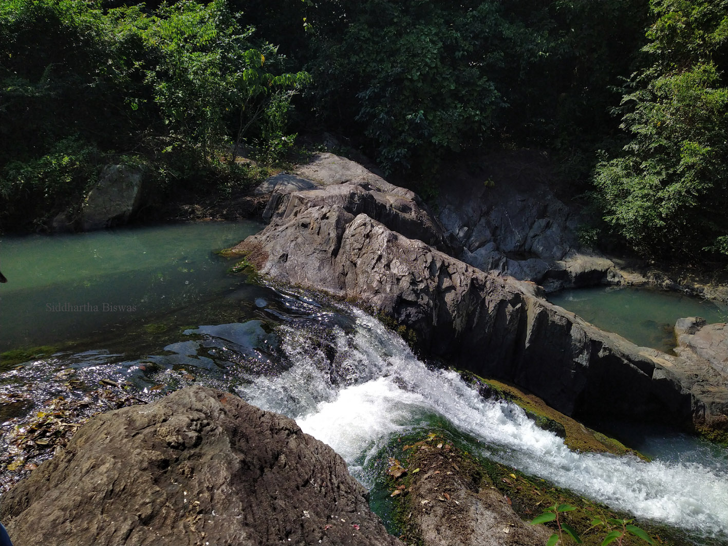 Rissia Nature Camp – Kuldiha Forest – Peregrine's Progress